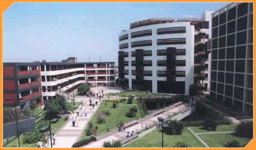 Portal de la Universidad de Lima - Mi U.Lima